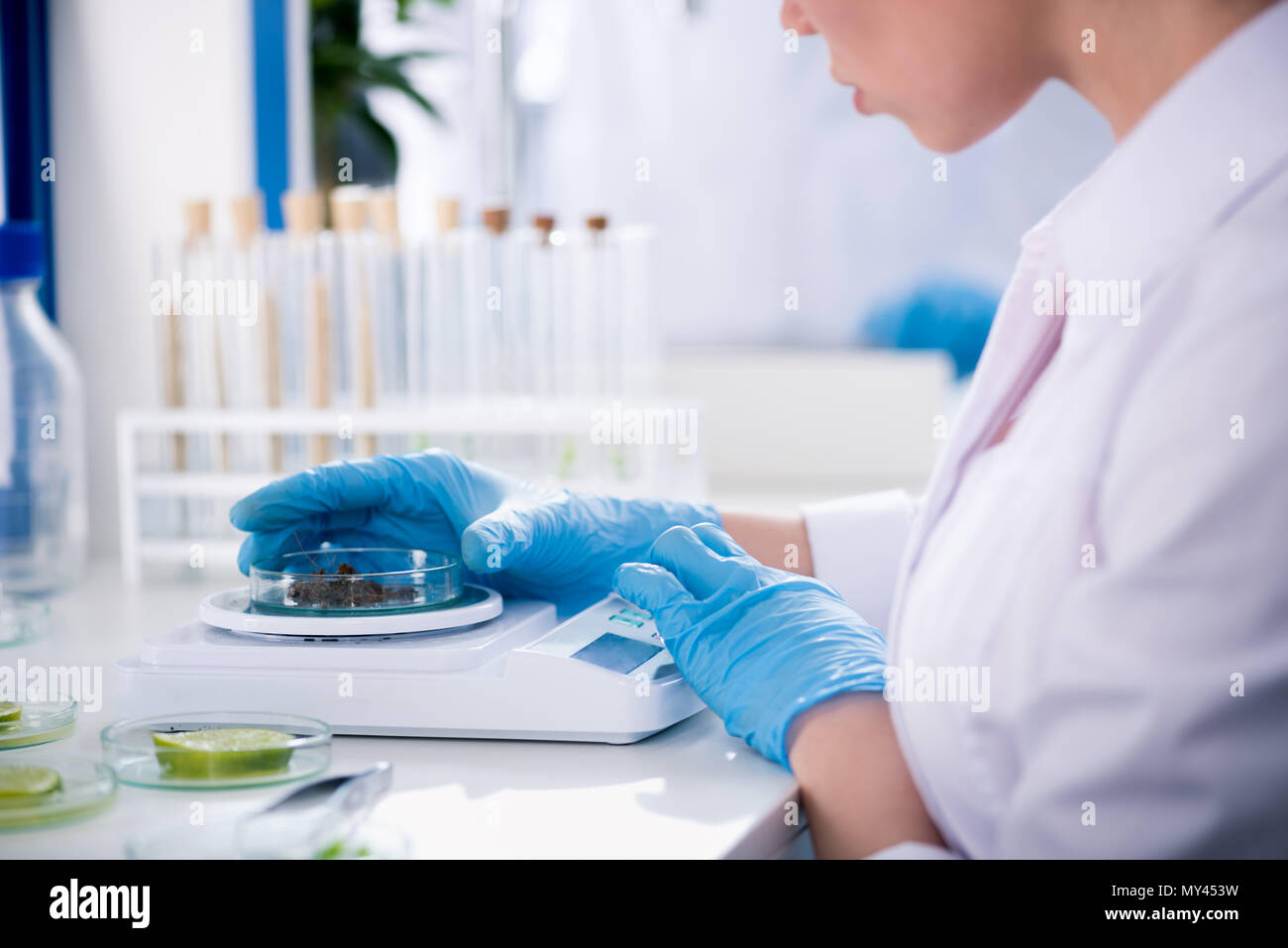 Female scientist during work at modern biological laboratory Stock ...