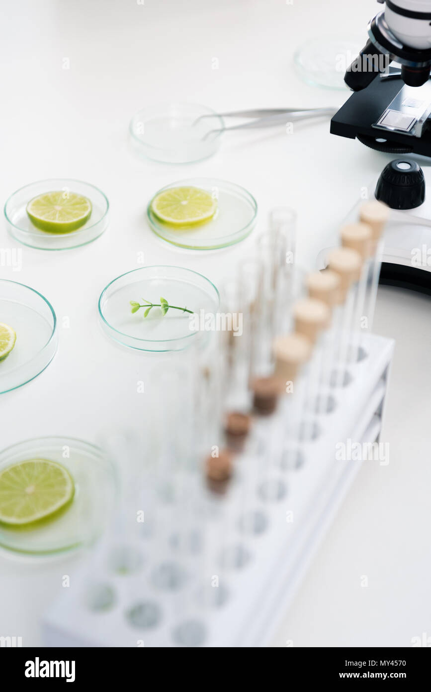 Scientific tools at workplace in modern biological laboratory Stock ...