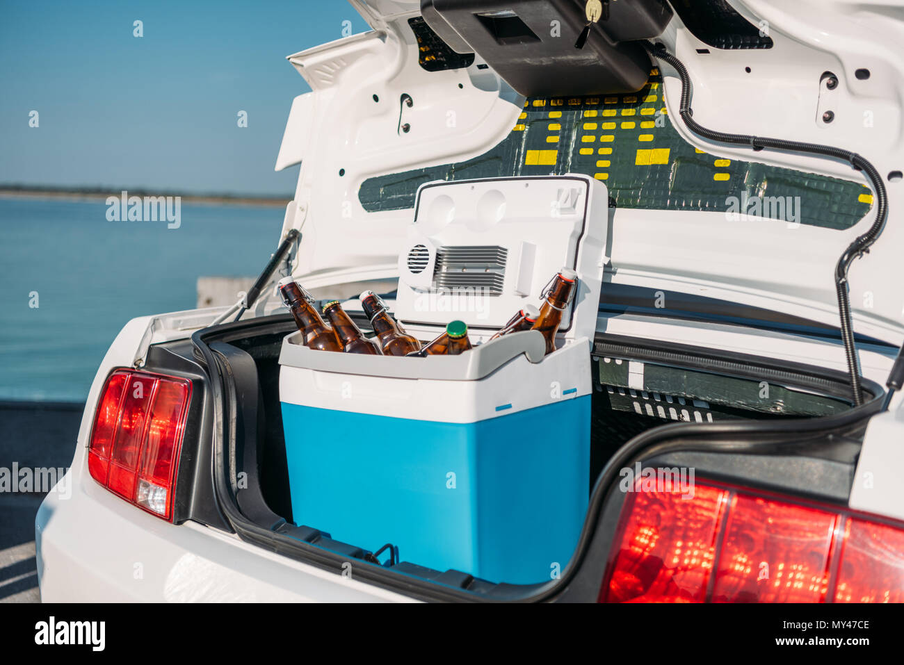 close up view of portable fridge with beer standing in car Stock Photo ...