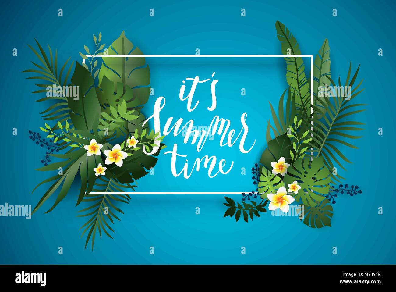 Frame nature card Stock Vector Image & Art - Alamy