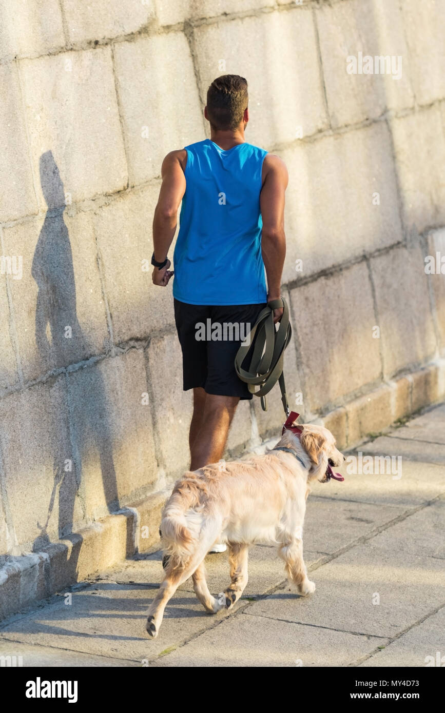 Man jogging dog golden retriever hi-res stock photography and images ...