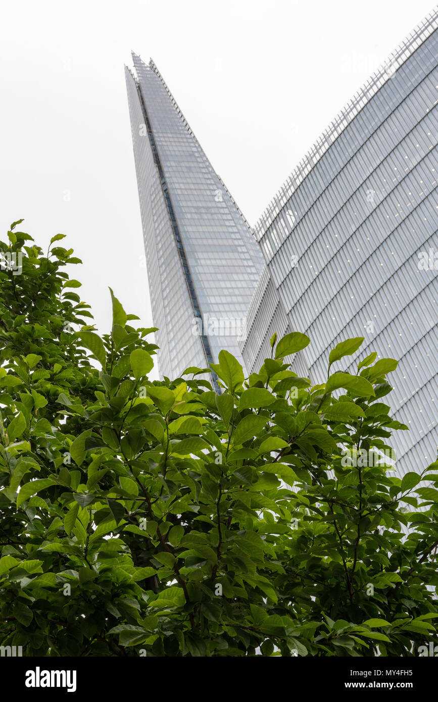 the shard office building in central London. modern, contemporary ...