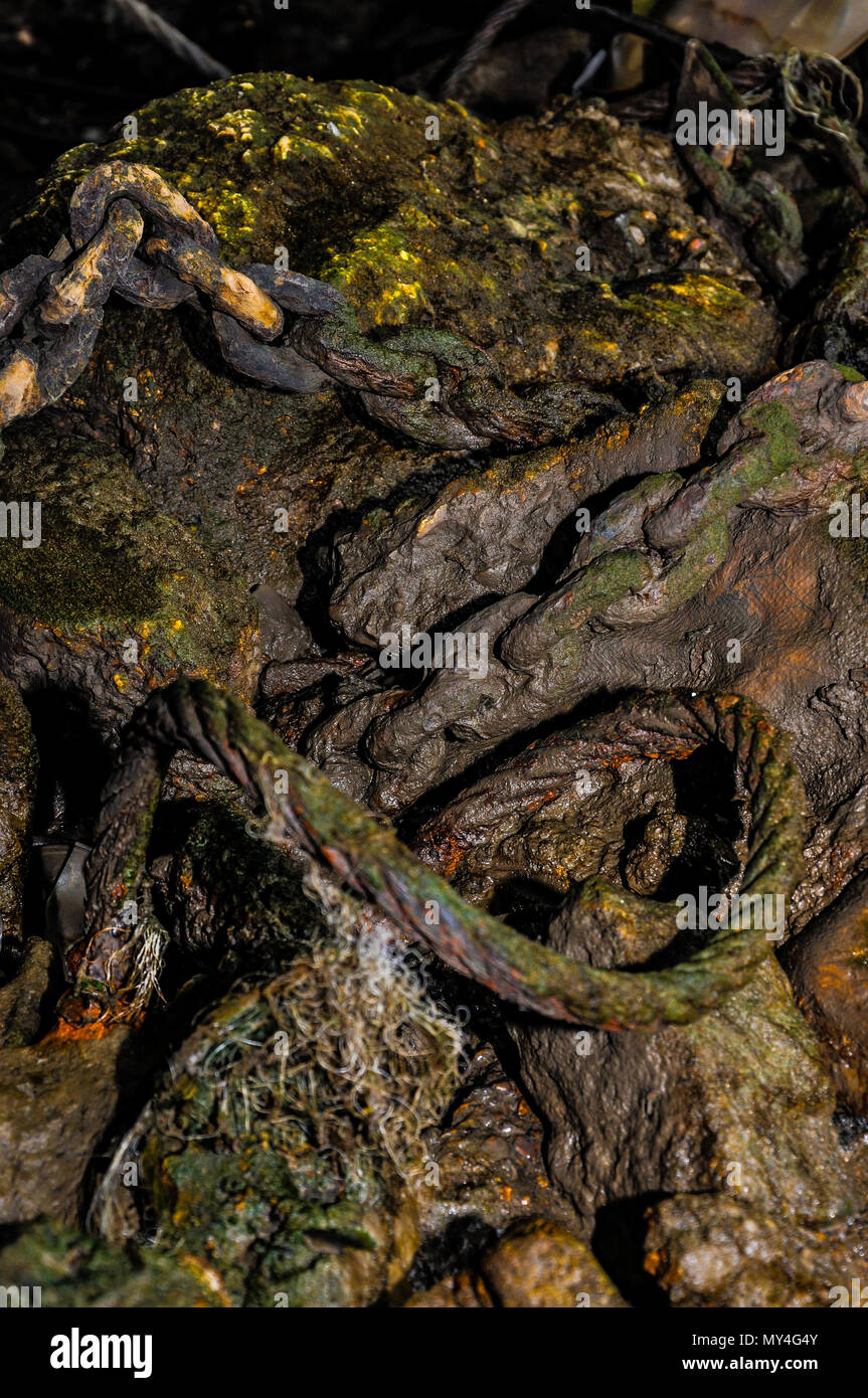 Mud silt detritus hi-res stock photography and images - Alamy