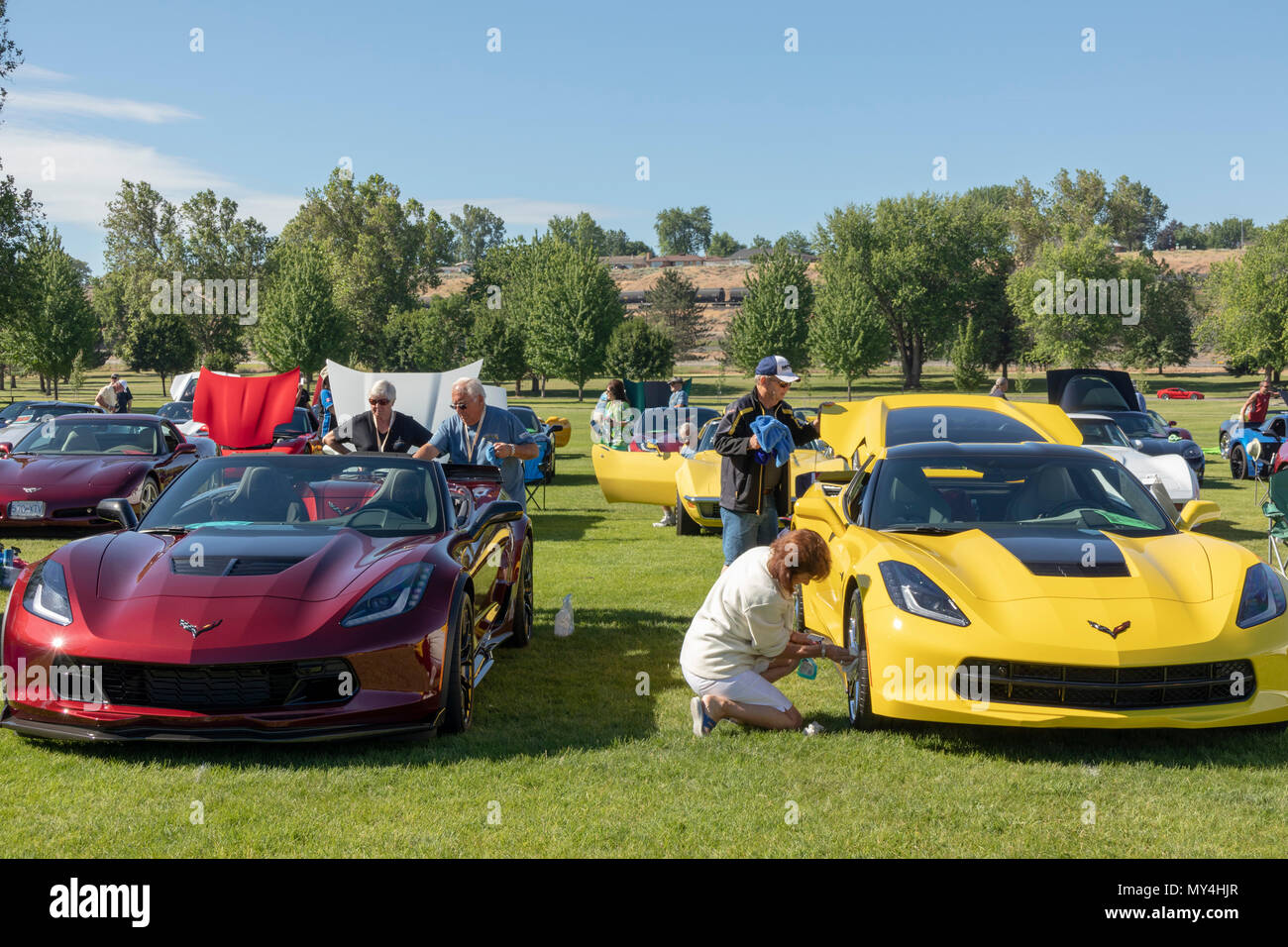 exhibitors polishing their cars, Chevrolet Corvette car rally ...