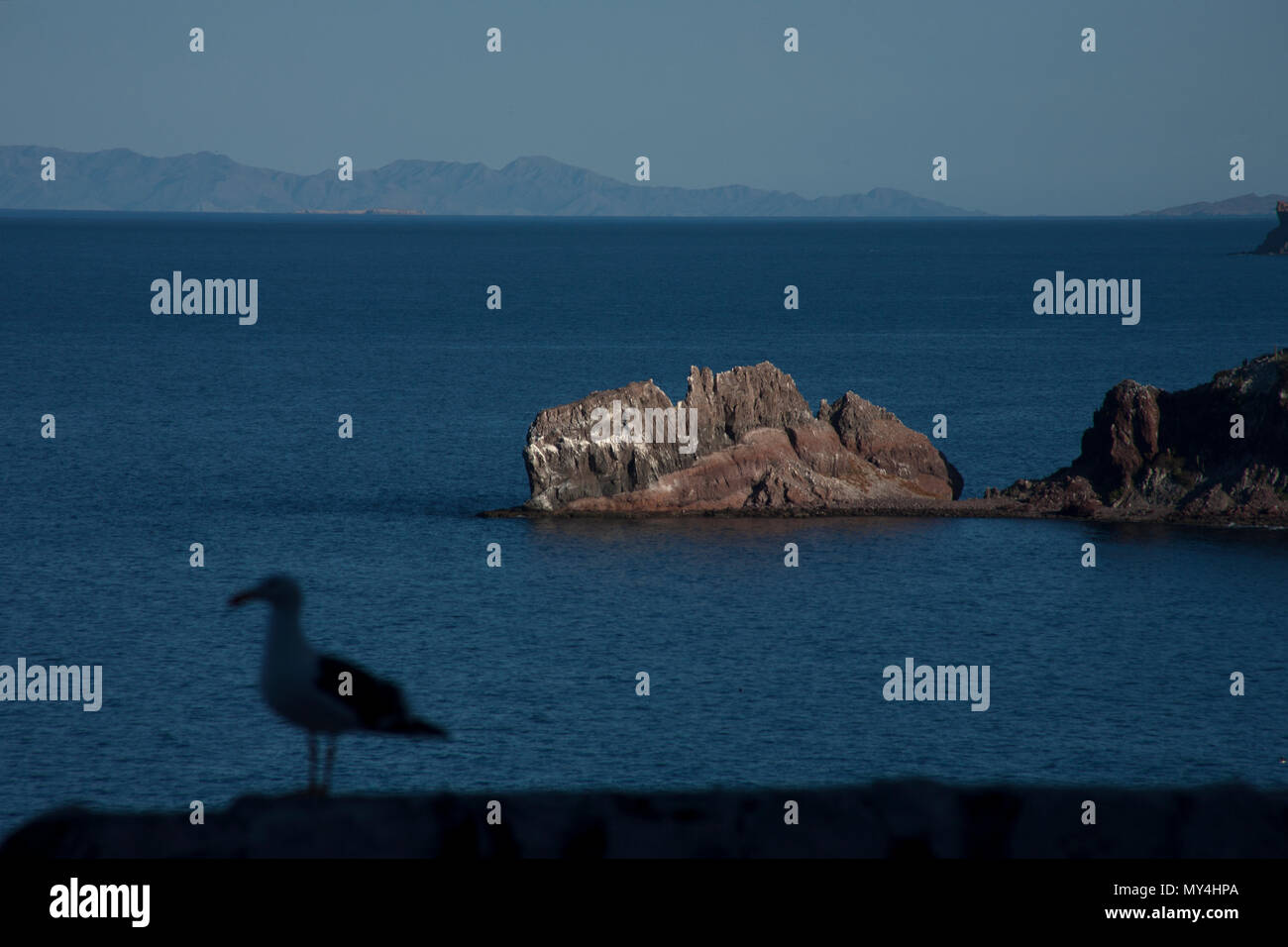 Mar cortez hi-res stock photography and images - Alamy