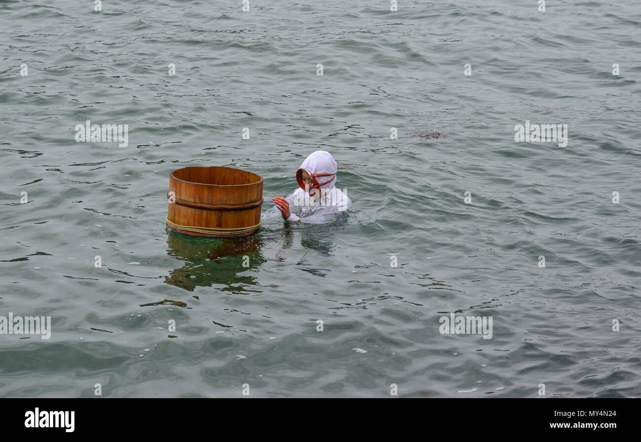 Toba, Japan - Mar 18, 2018. An Ama female diver working on the sea in ...