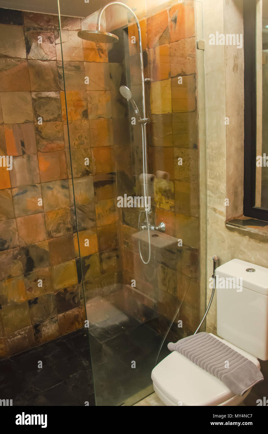 Modern interior bathroom shower Stock Photo - Alamy