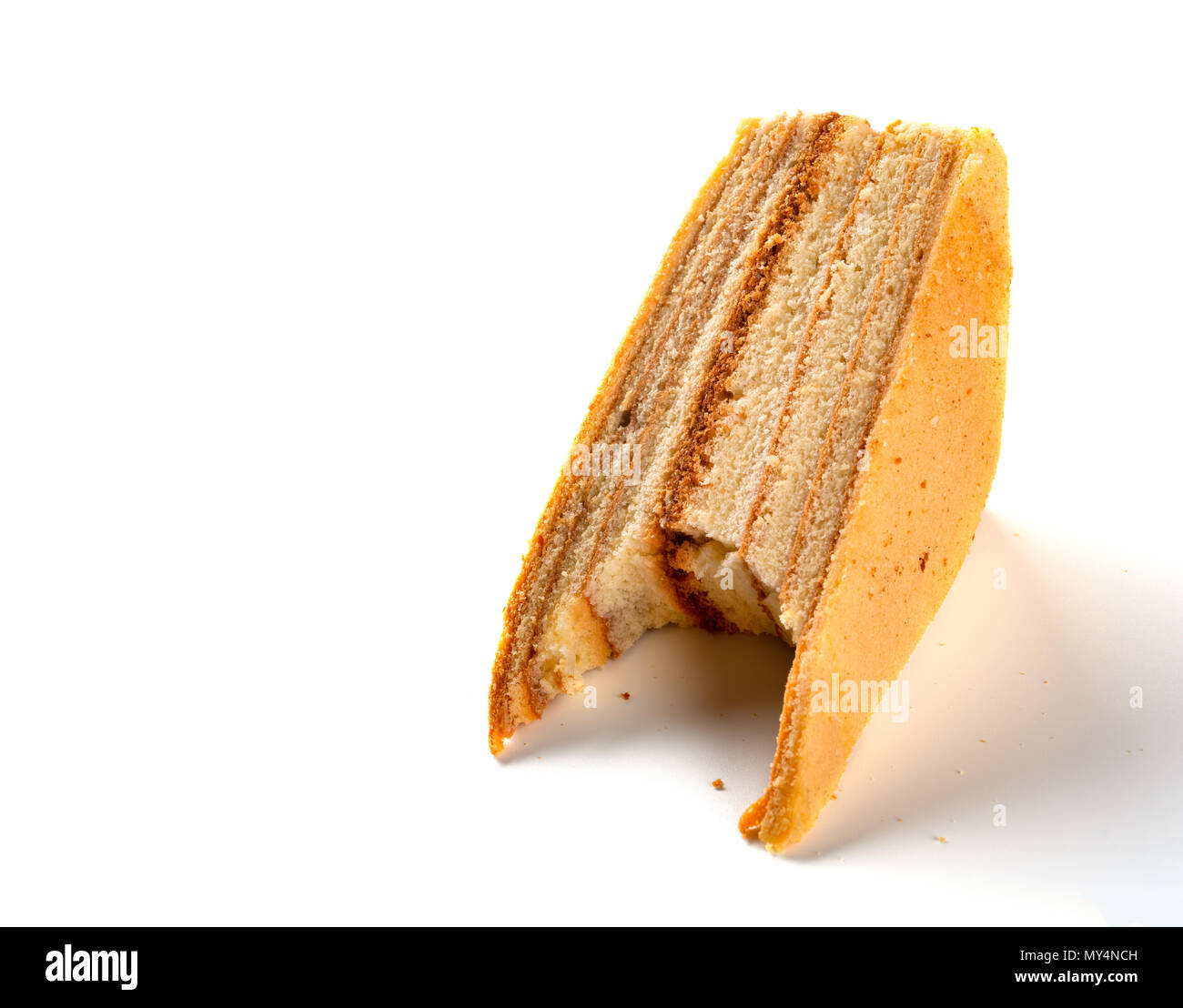 homemade sandwich shape sponge cage with a bite at bottom on white ...