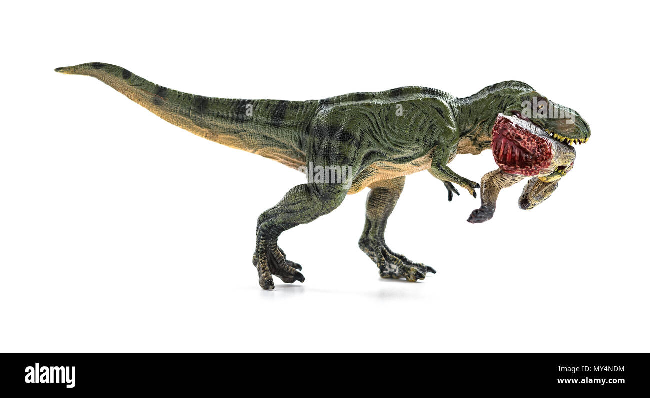 tyrannosaurus biting a dinosaur body with blood on white background ...