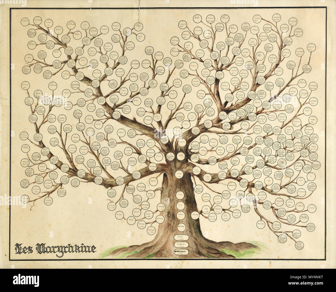 Family tree 18th century hi-res stock photography and images - Alamy