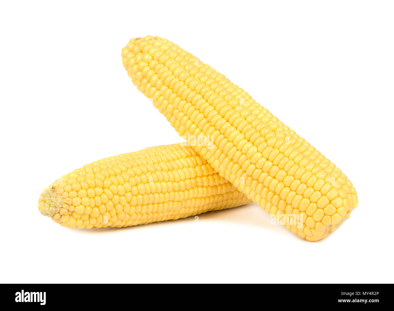 Pair of raw corncobs on a white background Stock Photo - Alamy