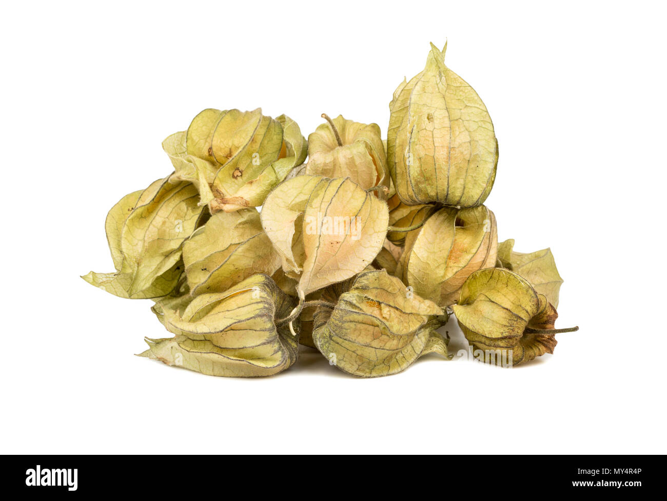 Pile of fresh fruit physalis in a peel on a white background Stock ...