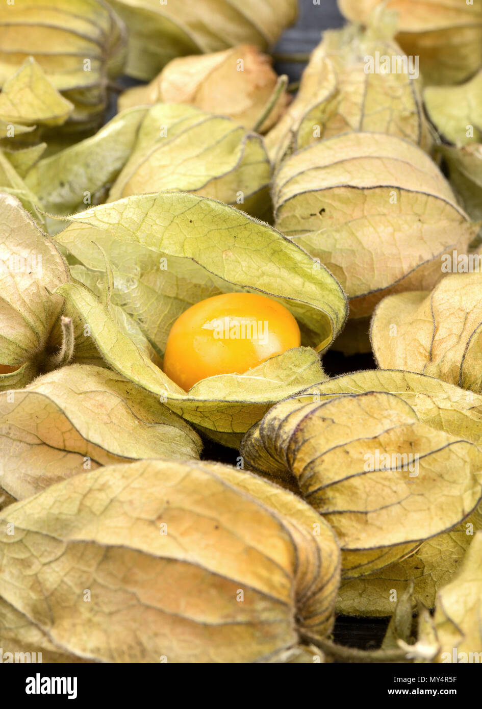 Tomato Calyx Stock Photos & Tomato Calyx Stock Images - Alamy