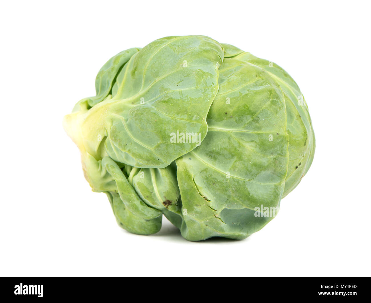 Fresh brussel sprouts isolated on white background Stock Photo - Alamy