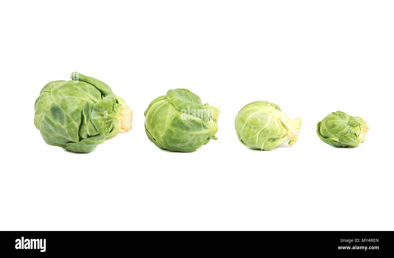 Collection of four fresh brussel sprouts of various sizes on a white ...