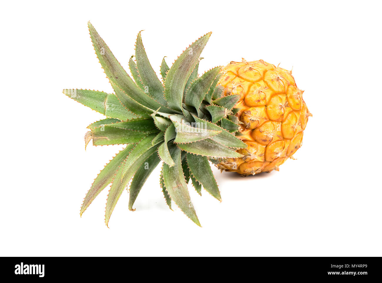 Exotic fruit mini pineapple isolated on white background Stock Photo ...