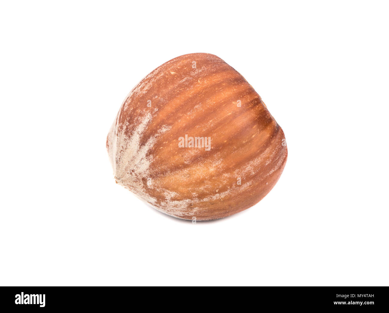 Raw hazelnuts in shell isolated on white background Stock Photo - Alamy