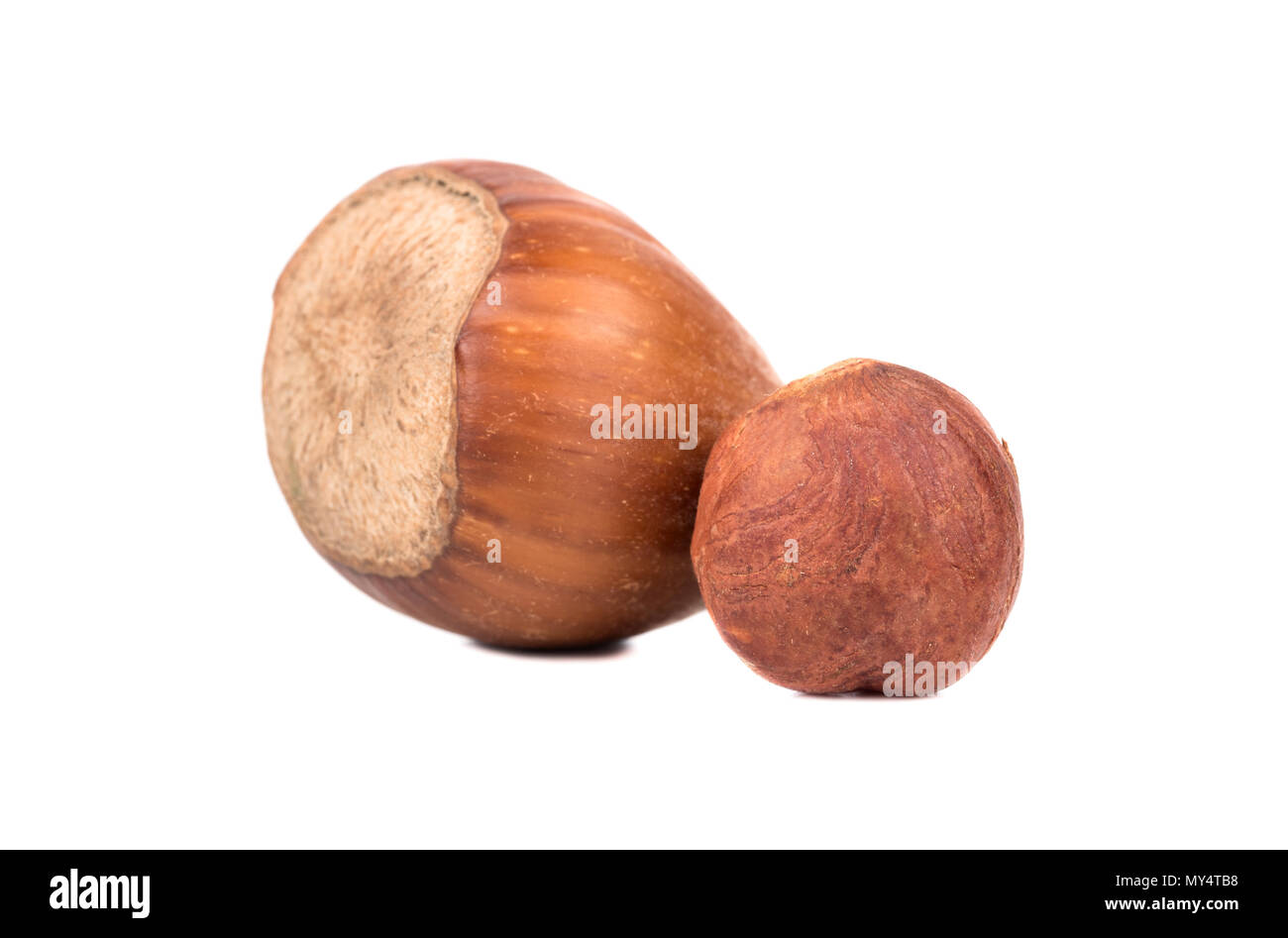 With shell and without shell Cut Out Stock Images & Pictures - Alamy