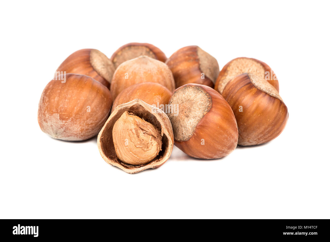 Small pile of hazelnuts in the shell on a white background Stock Photo ...