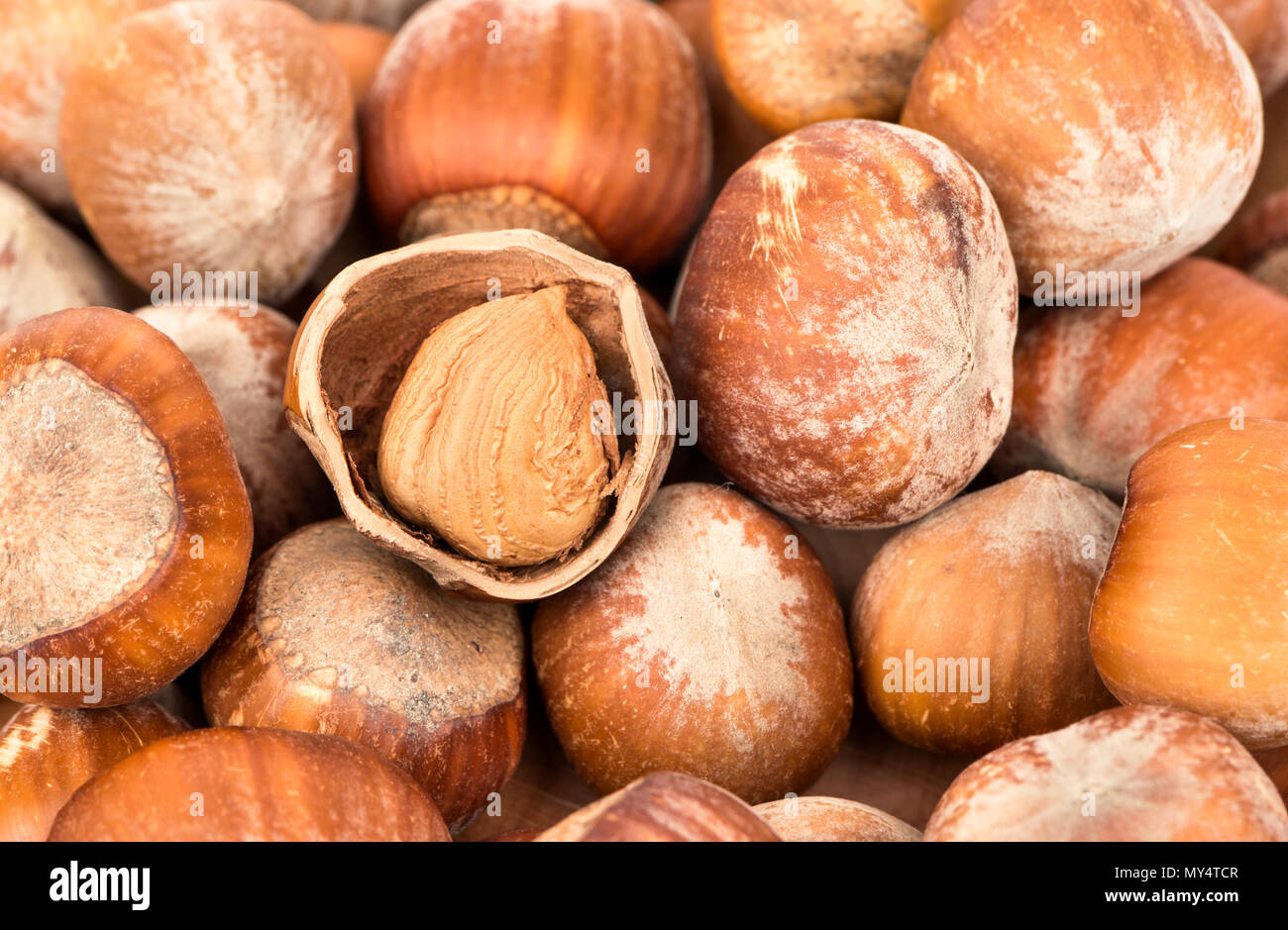 Heap of hazelnuts hi-res stock photography and images - Alamy