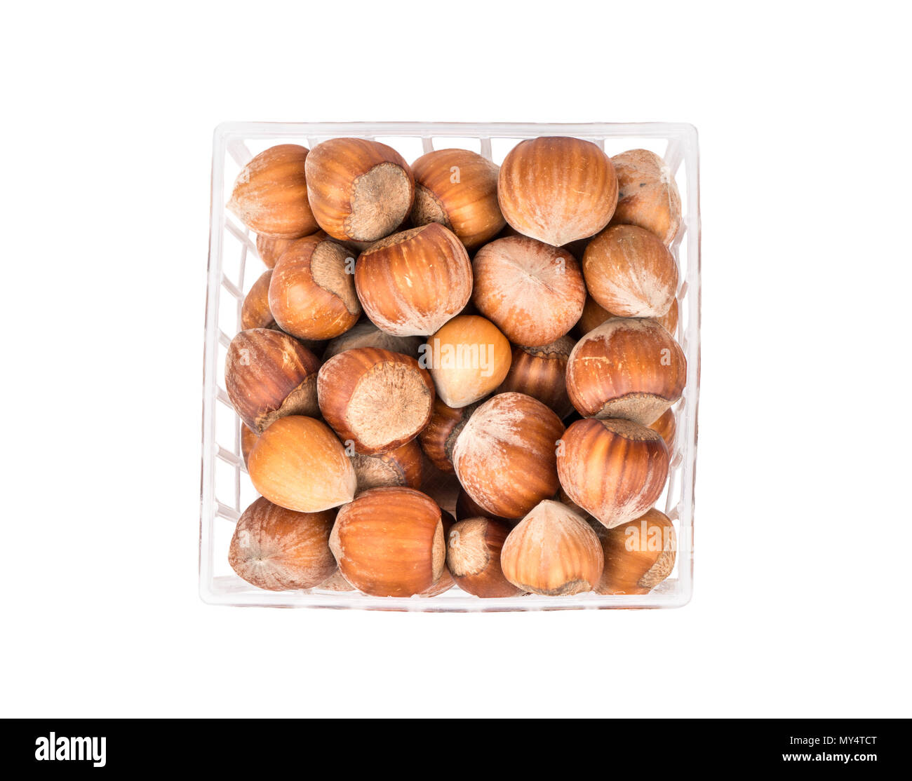 Hazelnuts in shell and the transparent container on a white background ...