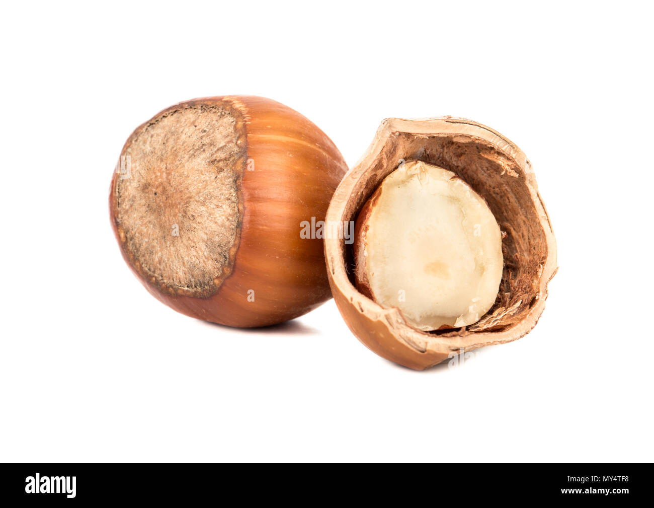 Fresh hazelnuts with a half on a white background Stock Photo - Alamy
