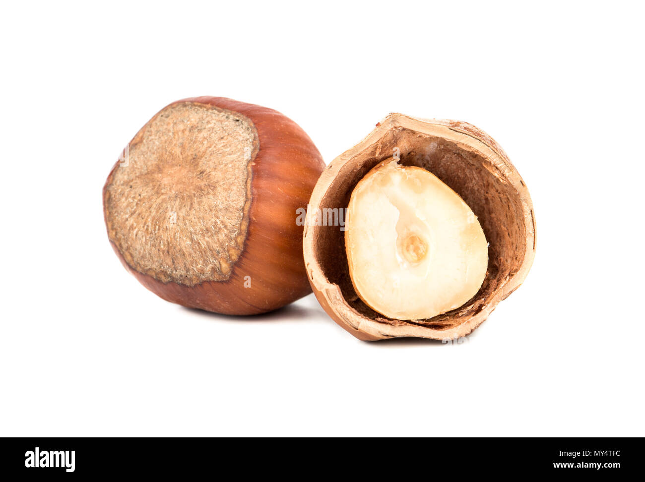 Half of hazelnut with walnuts in shell isolated on white background ...