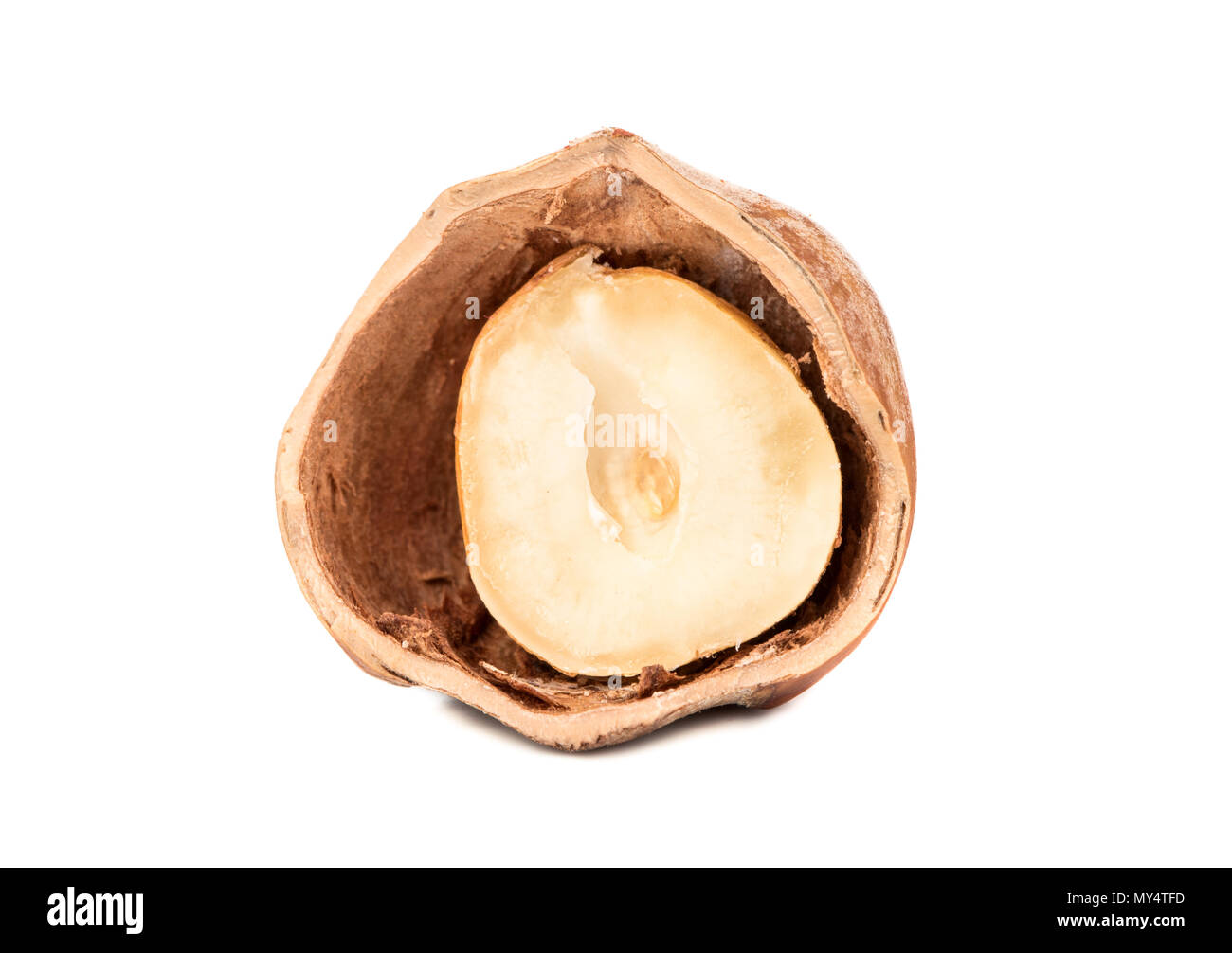 Hazelnut in shell hi-res stock photography and images - Alamy