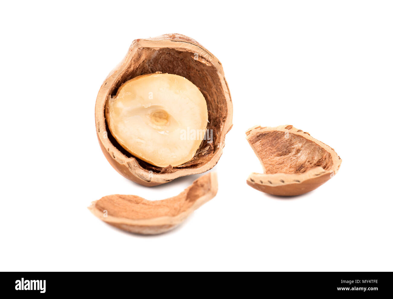Hazelnut in shell hi-res stock photography and images - Alamy
