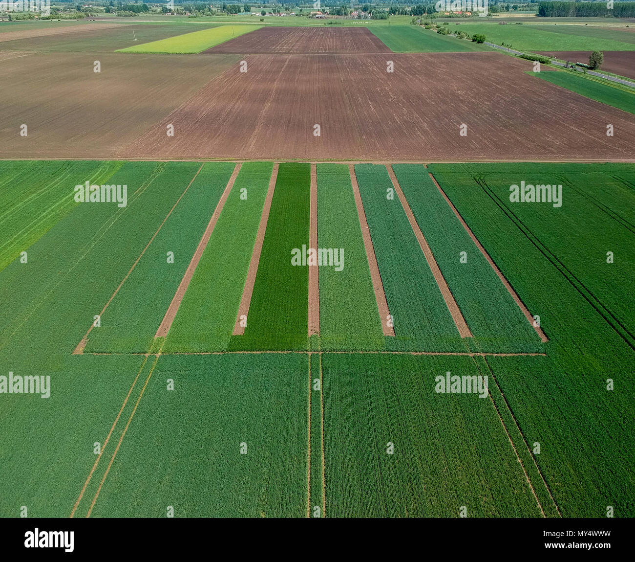 Aerial view of agricultural fields from above Stock Photo - Alamy