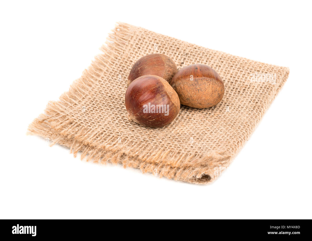 Three fresh edible chestnut on sackcloth and white background Stock ...