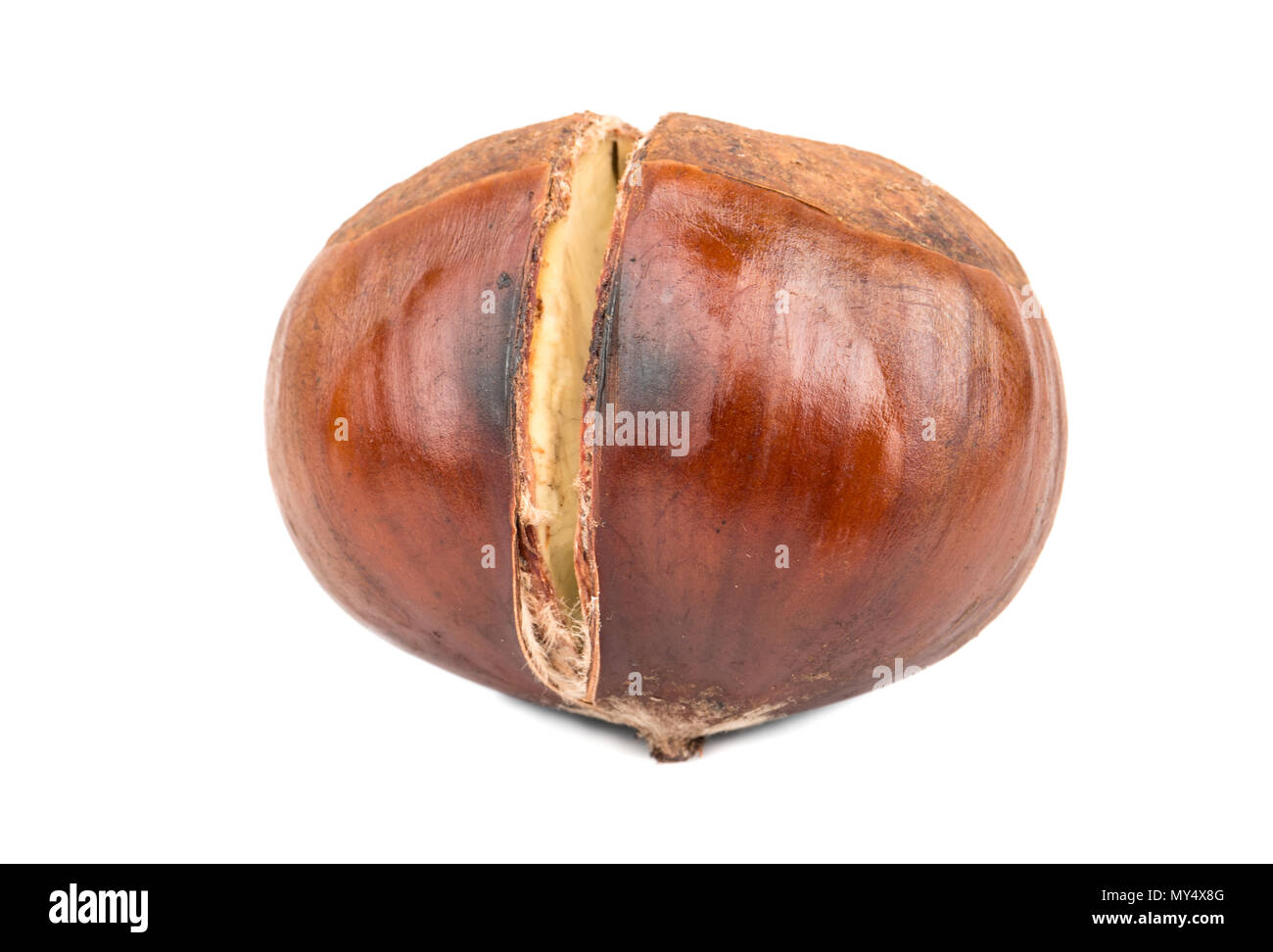 Delicious roasted edible chestnuts isolated on a white background Stock ...