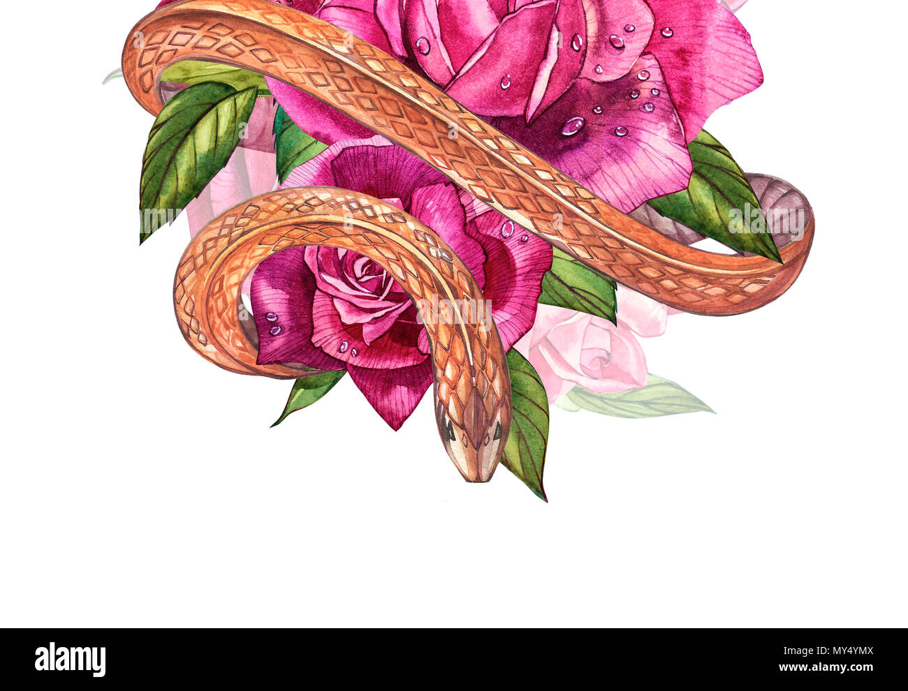 Snake with beautiful garden roses. Compositions of red and pink roses ...