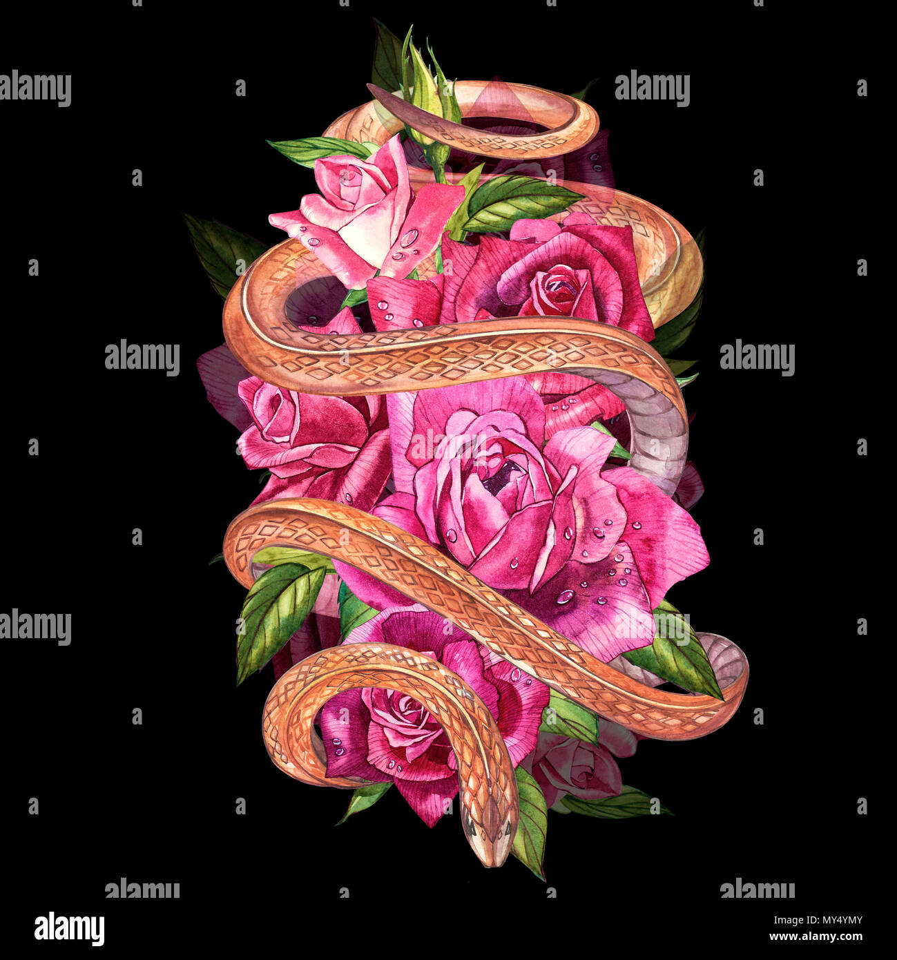 Snake with beautiful garden roses. Compositions of red and pink roses ...
