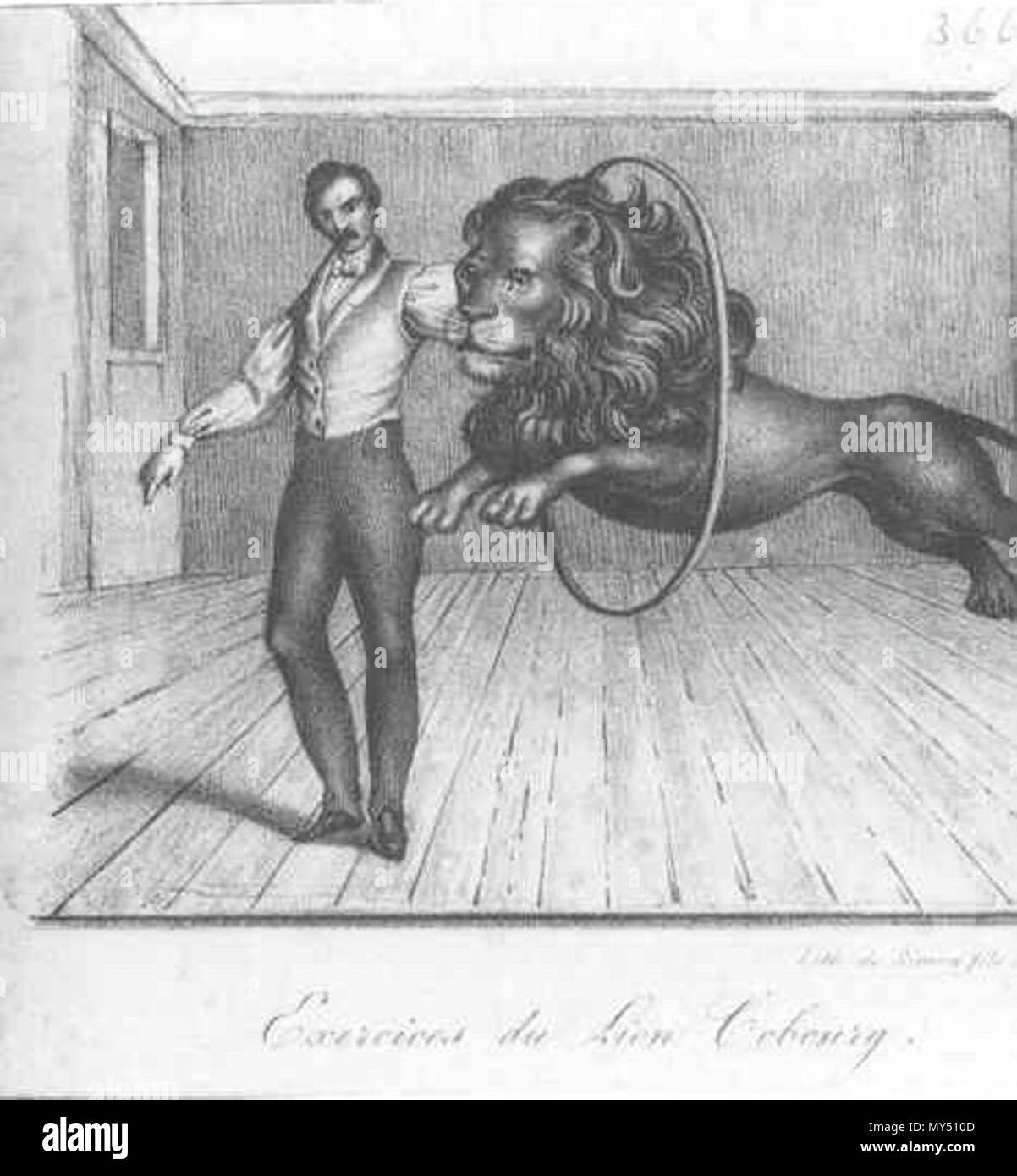 Martin lowe hi-res stock photography and images - Alamy