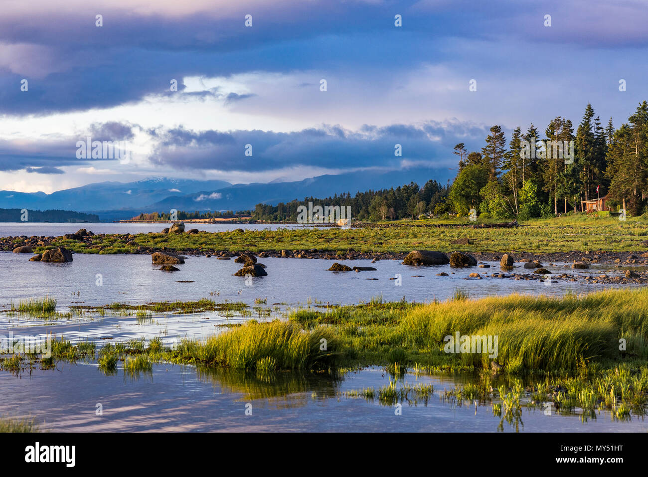 Vancouver island shoreline hi-res stock photography and images - Alamy