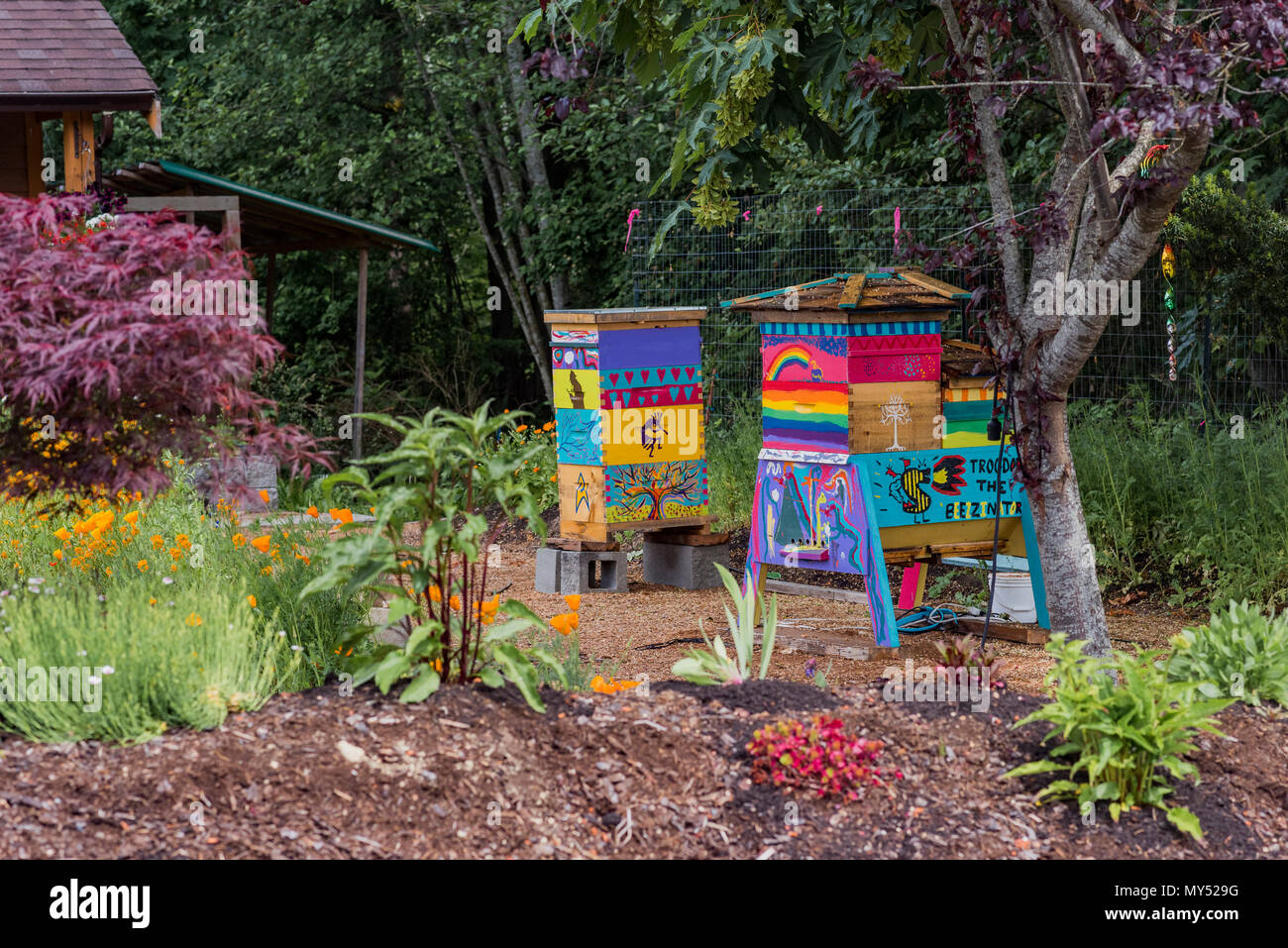 Colourful painted bee hives, Union Bay, Vancouver Island, British ...