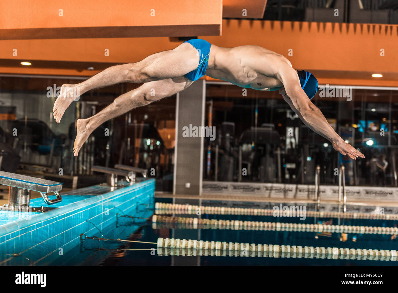 swimmer diving into competition swimming pool Stock Photo - Alamy