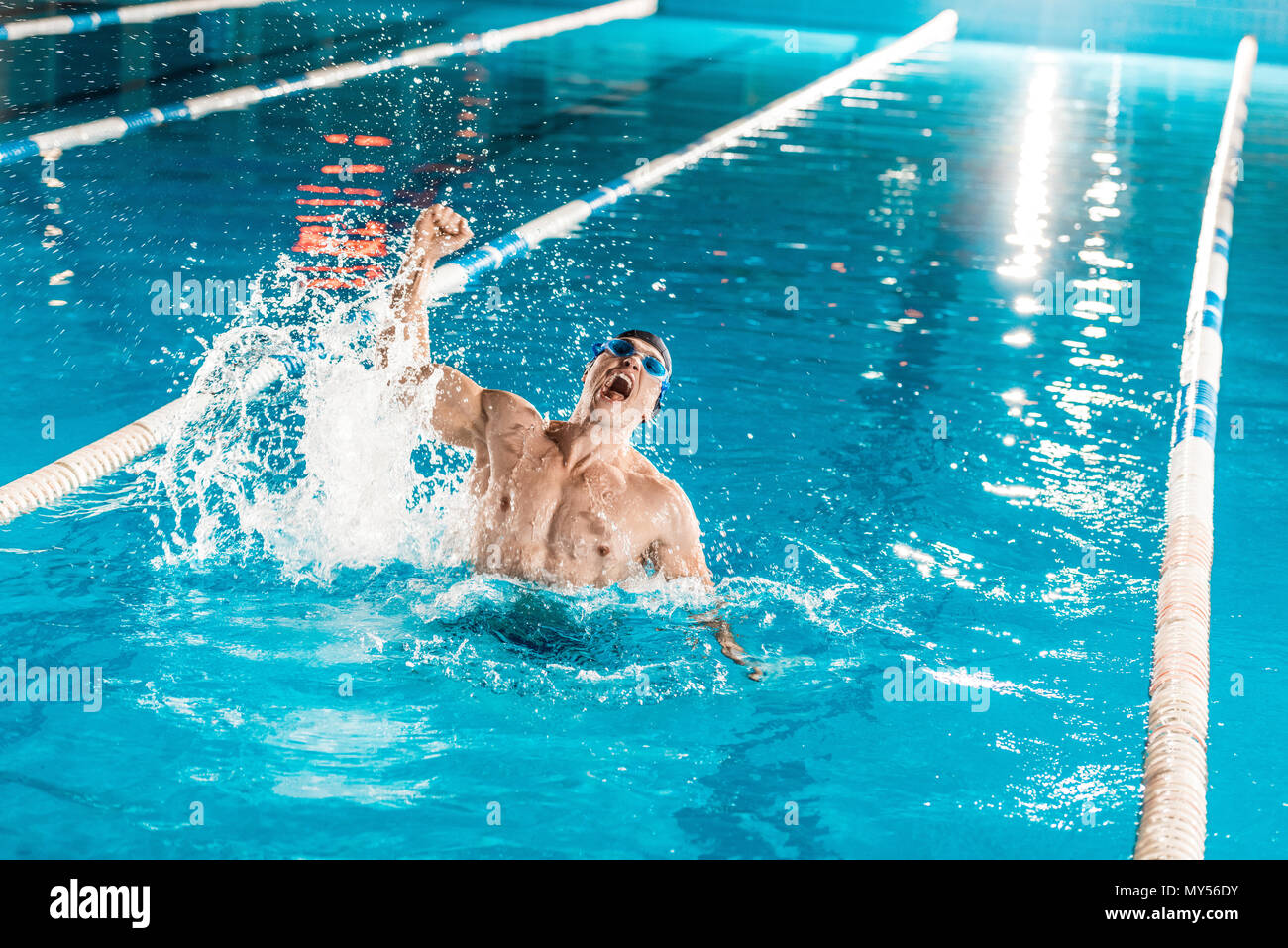handsome winning muscular swimmer in competition swimming pool Stock ...