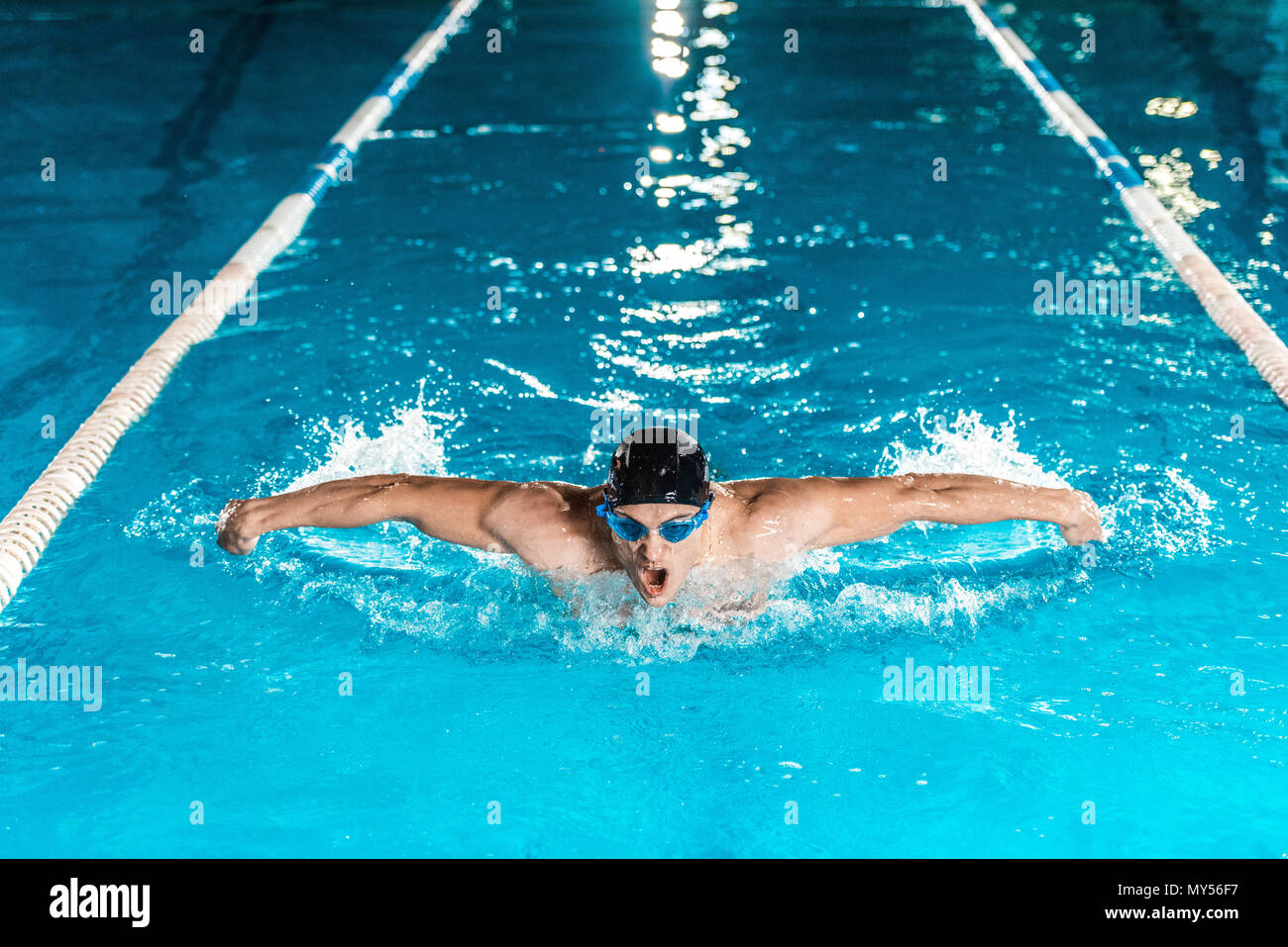 young professional swimmer in competition swimming pool Stock Photo - Alamy