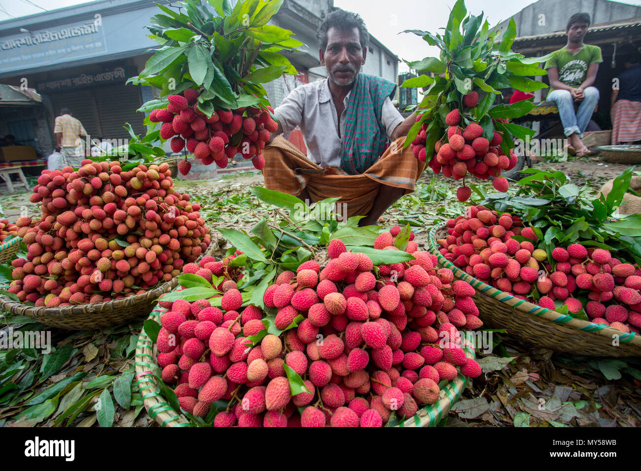 A Lychee’s wholesale dealer shows her big Lychee bunch in Shimultoli ...