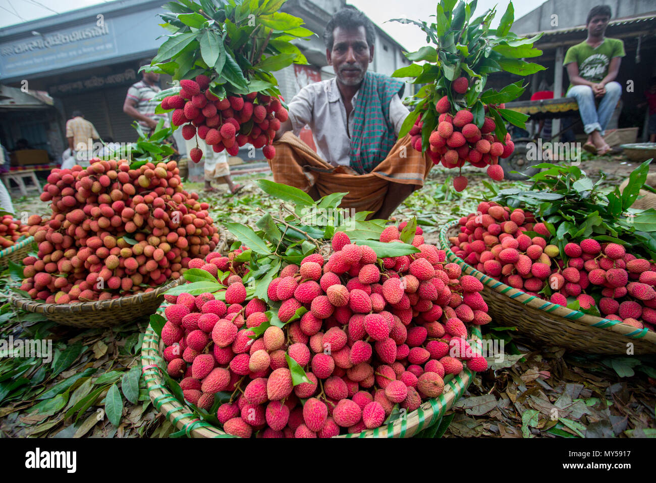 Picking lychees hi-res stock photography and images - Alamy