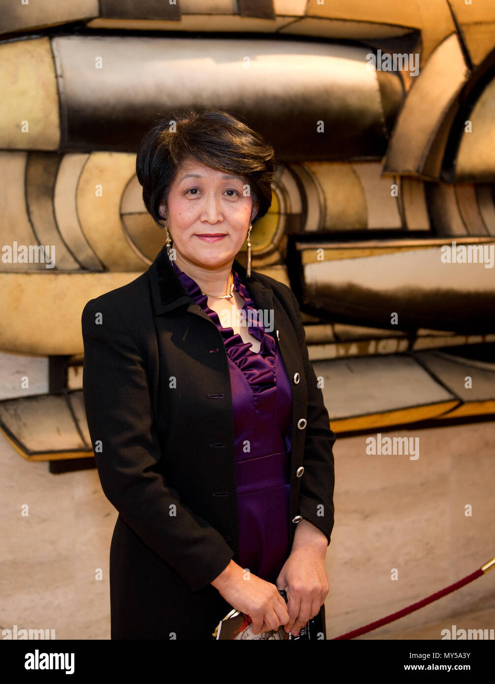 . English: Photo of Dr Wenyi Wang . 16 January 2011. Dai Bing 145 Dr ...