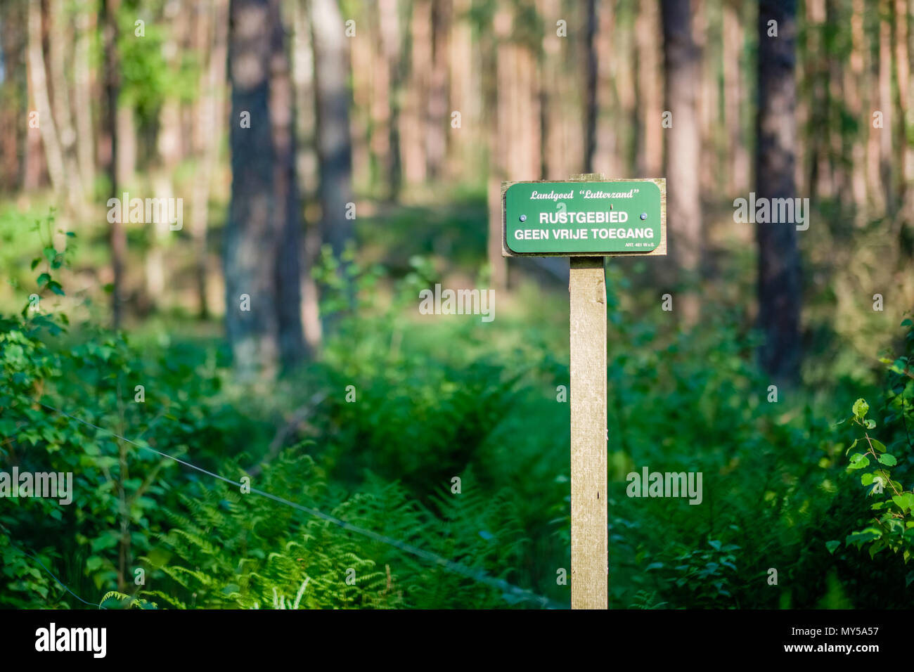 This sign is indicating a resting area is near. Because of that, there ...