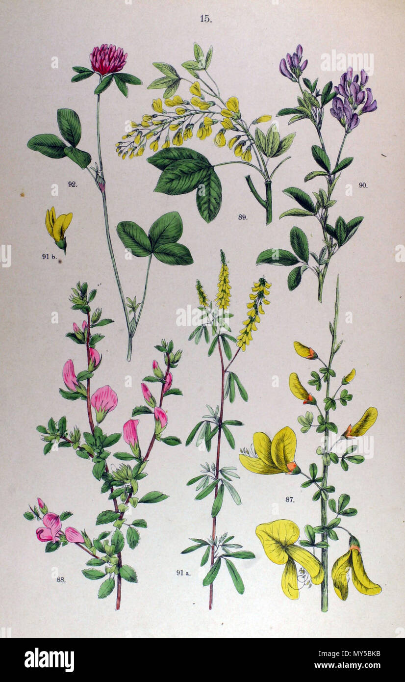 Bilder atlas hi-res stock photography and images - Alamy