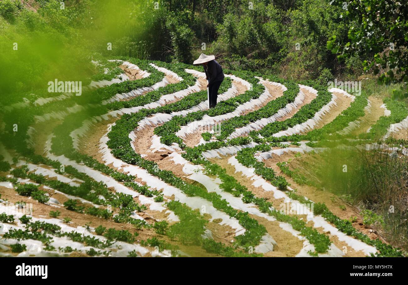 Dashu hi-res stock photography and images - Alamy