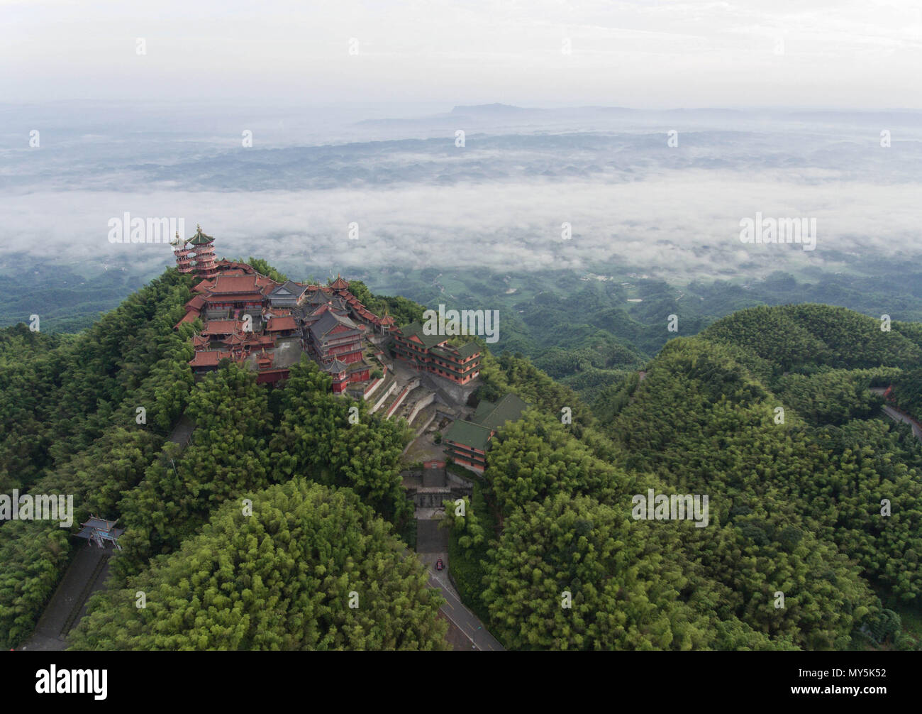 Shunan bamboo sea hi-res stock photography and images - Alamy