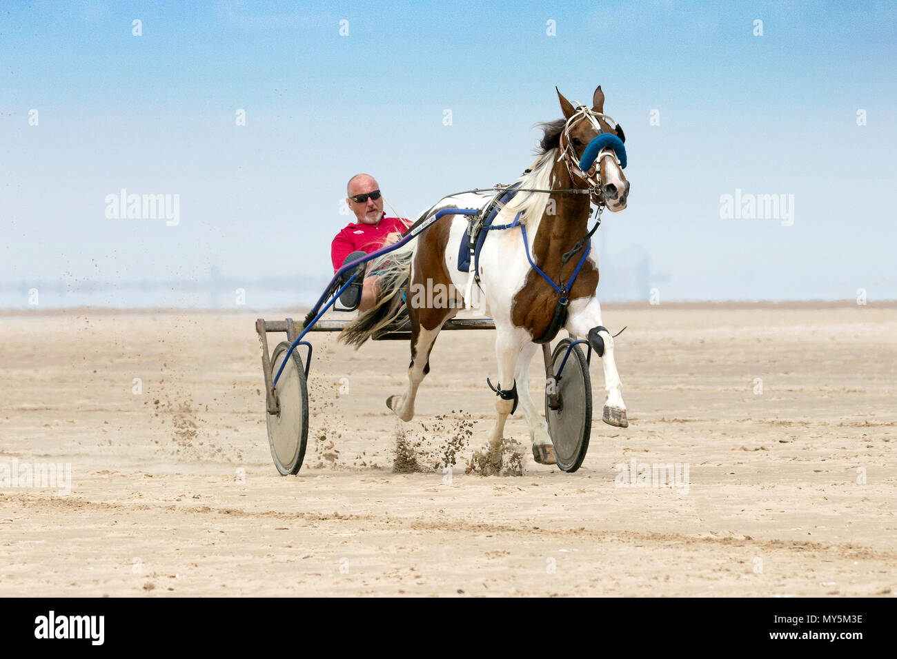 Sulky cart hi-res stock photography and images - Alamy