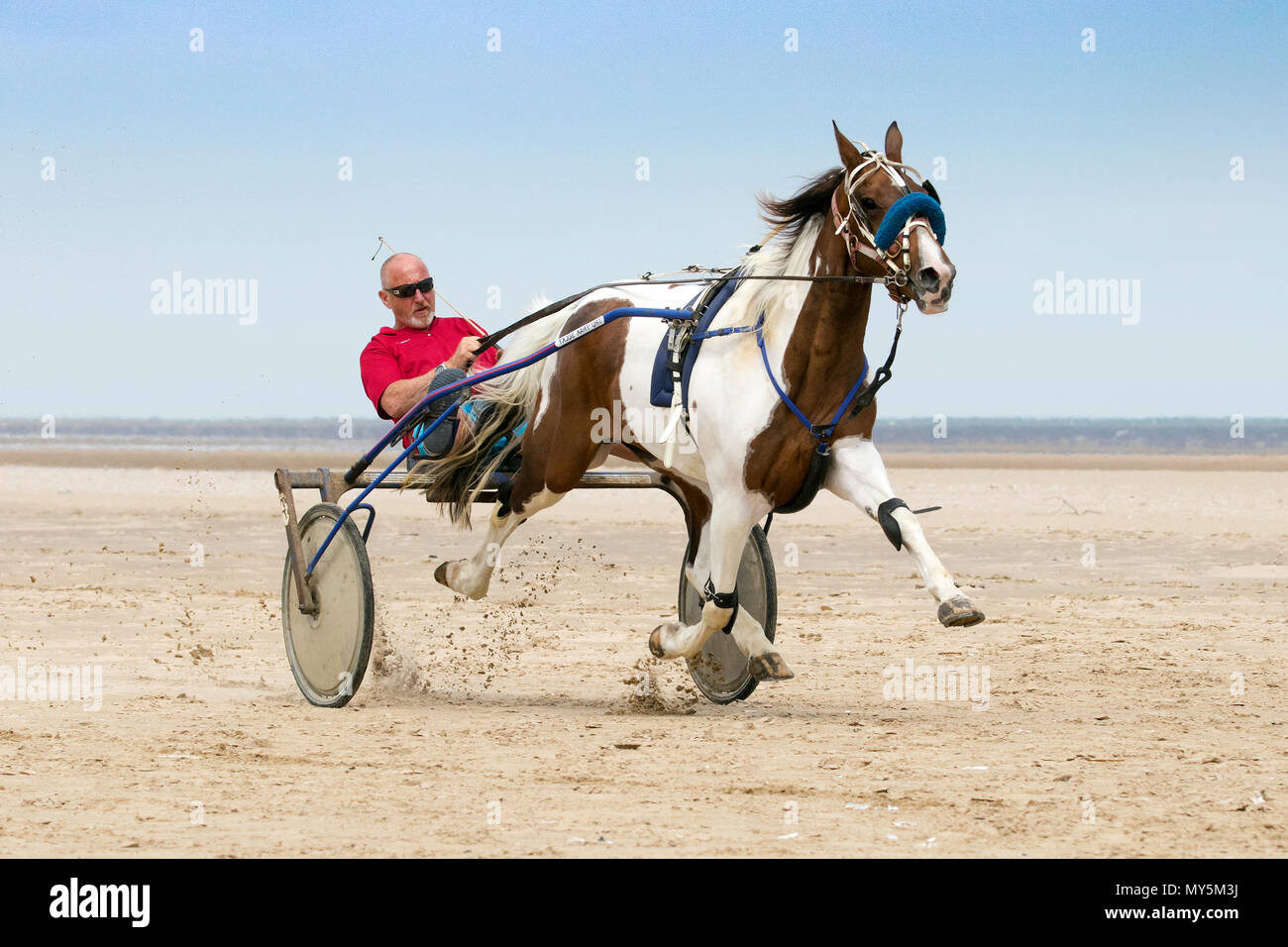 Jockey cart hi-res stock photography and images - Alamy
