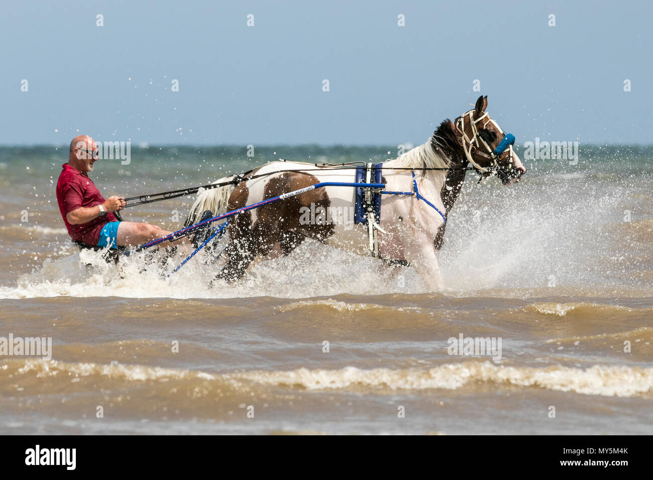 Sulky cart hi-res stock photography and images - Alamy